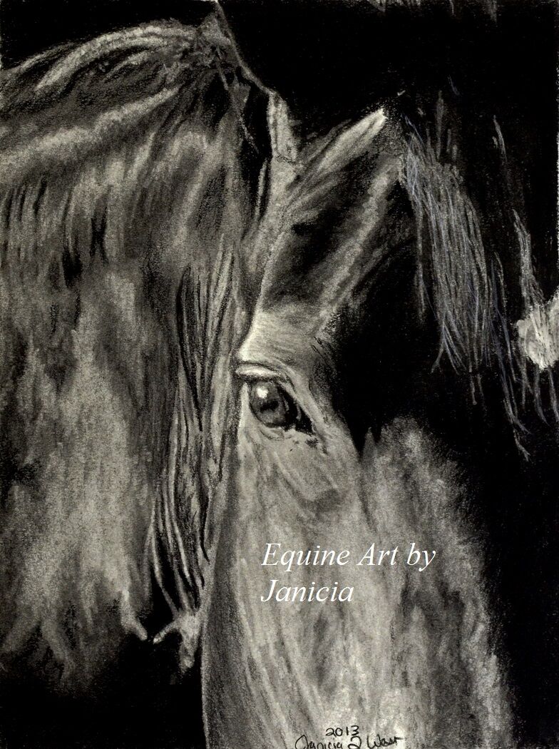 12 Days Of Equine Artists: Day 4- Janicia West! – Art Of The Horse
