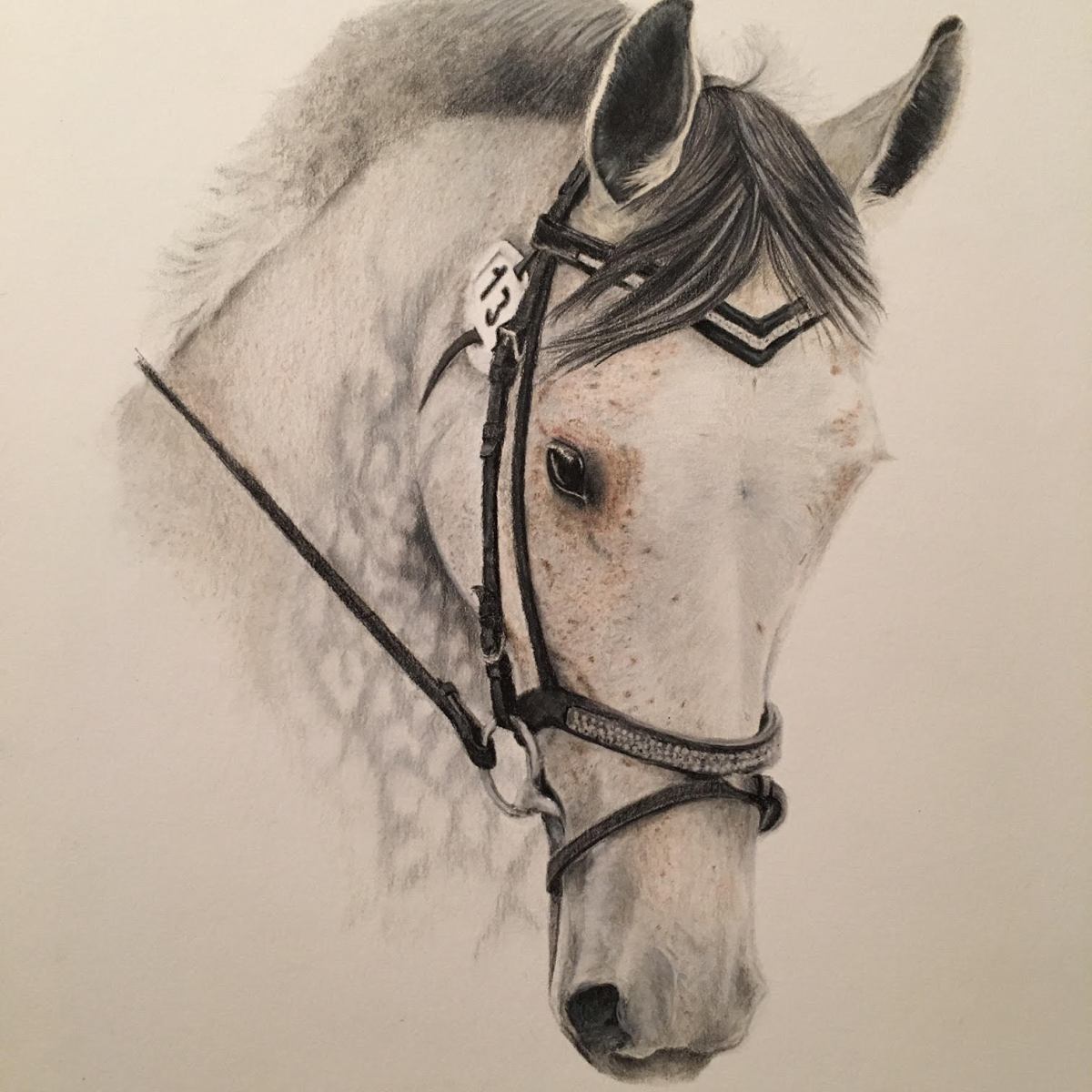 12 Days Of Equine Artists: Day 1-Bonny Snowdon! – Art Of The Horse