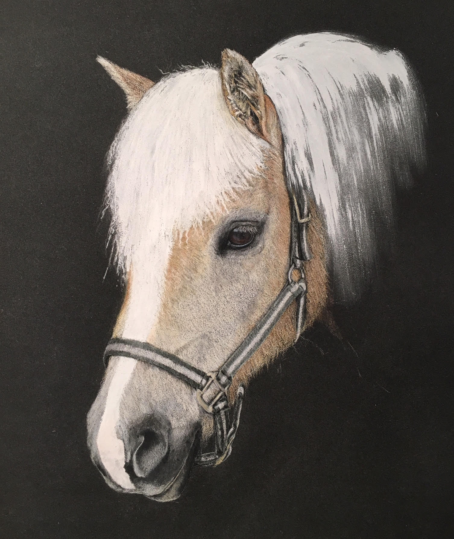 12 Days Of Equine Artists: Day 1-Bonny Snowdon! – Art Of The Horse