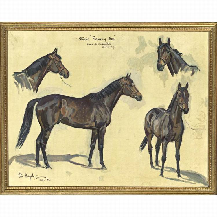 A Glimpse Into Peter Biegel’s Life: A Family of Horsemen, Training With ...