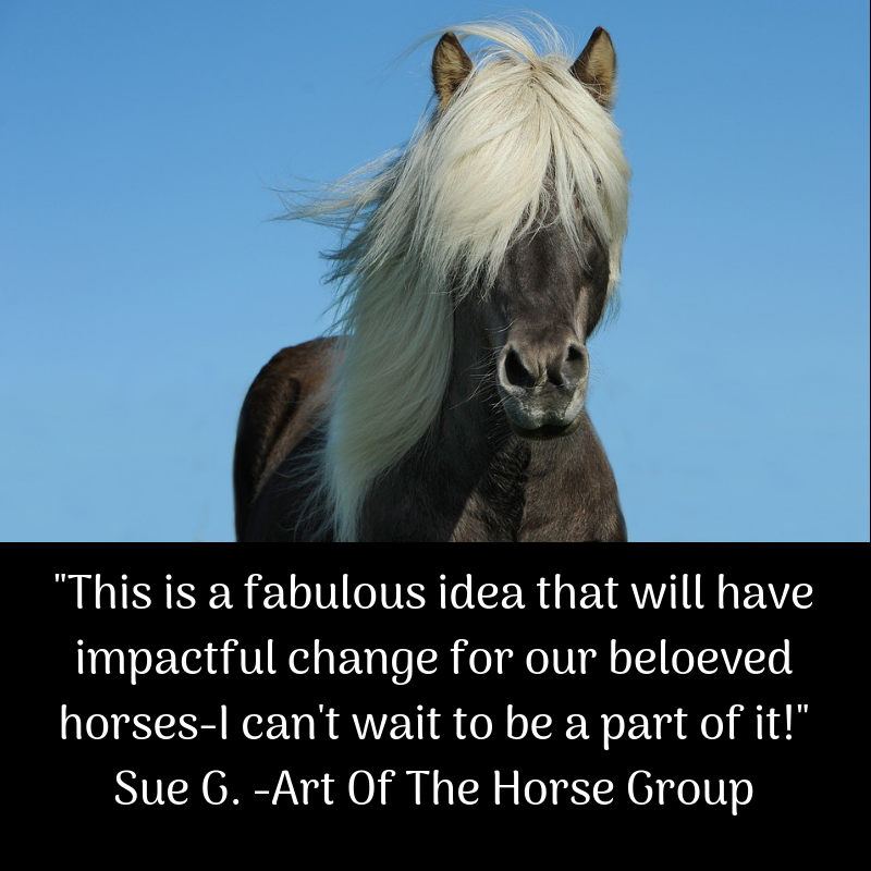 AOTH SAVES A Horse (Picking Back Up In Late 2019) – Art Of The Horse