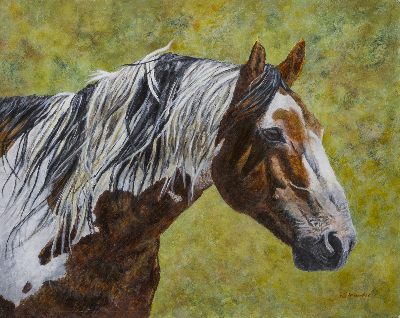 Meet The Equine Artist Who Is Helping The Wild Horses Of America ...