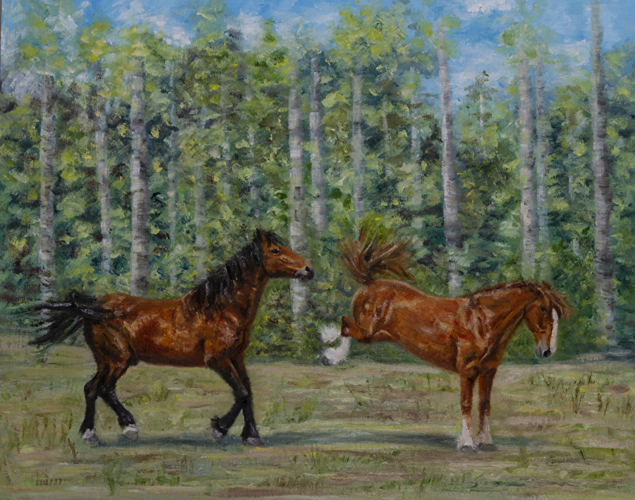 Meet The Equine Artist Who Is Helping The Wild Horses Of America ...