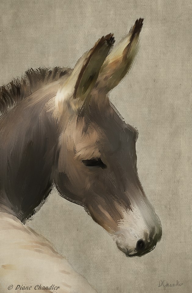 Happy International Donkey Day – 12 Artists Share Their love Of Donkeys ...