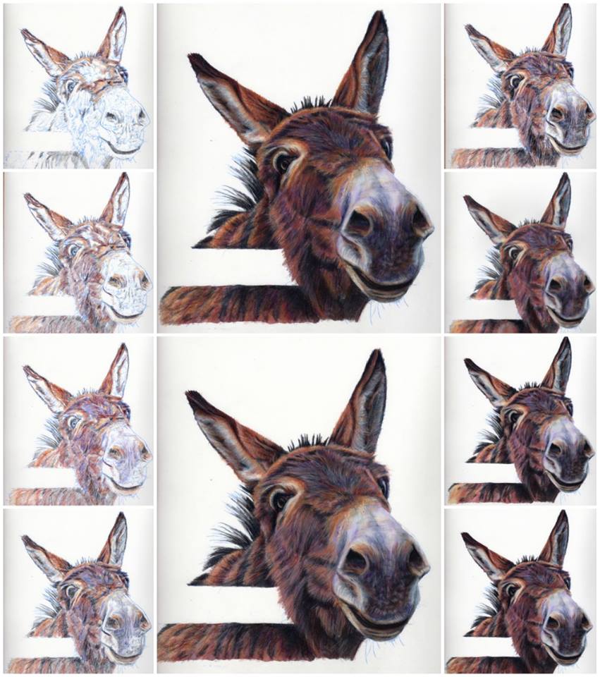 Happy International Donkey Day – 12 Artists Share Their love Of Donkeys ...