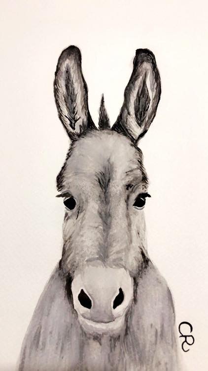 Happy International Donkey Day – 12 Artists Share Their love Of Donkeys ...