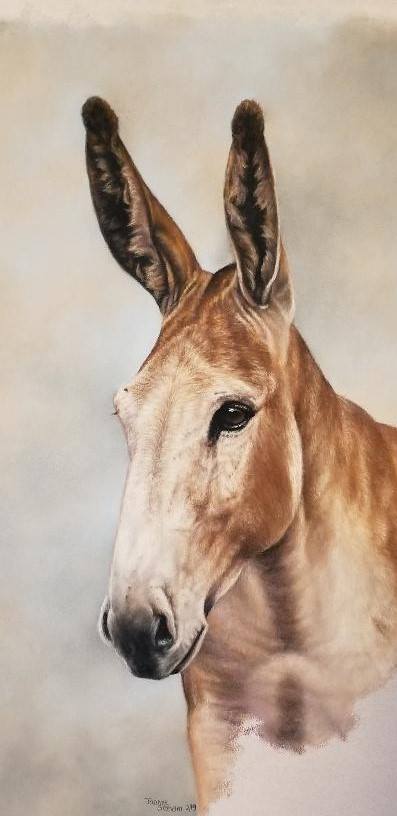 Happy International Donkey Day – 12 Artists Share Their love Of Donkeys ...