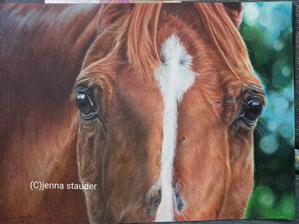 Art Of The Horse Banner Prize #2 Is A Wrap! – Art Of The Horse