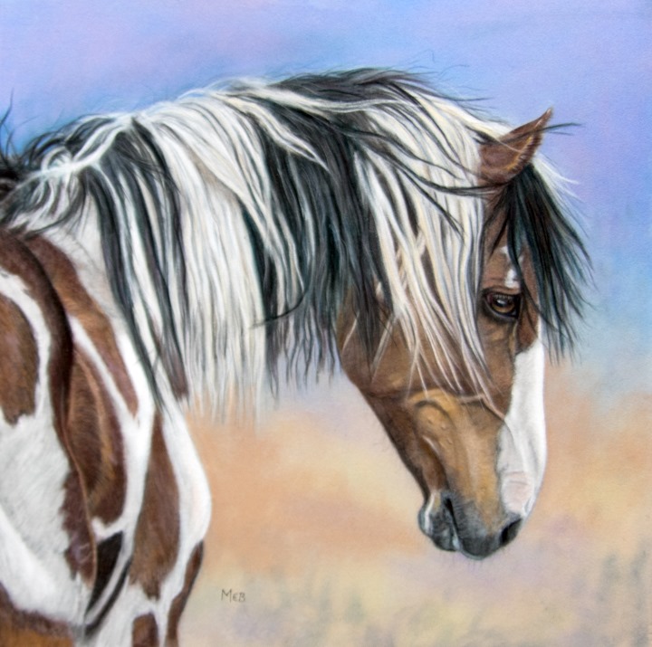 Art Of The Horse Banner Prize #2 Is A Wrap! – Art Of The Horse